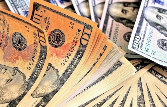 Watch: ANC Mayor Norah Mahlangu Caught in Leaked Video